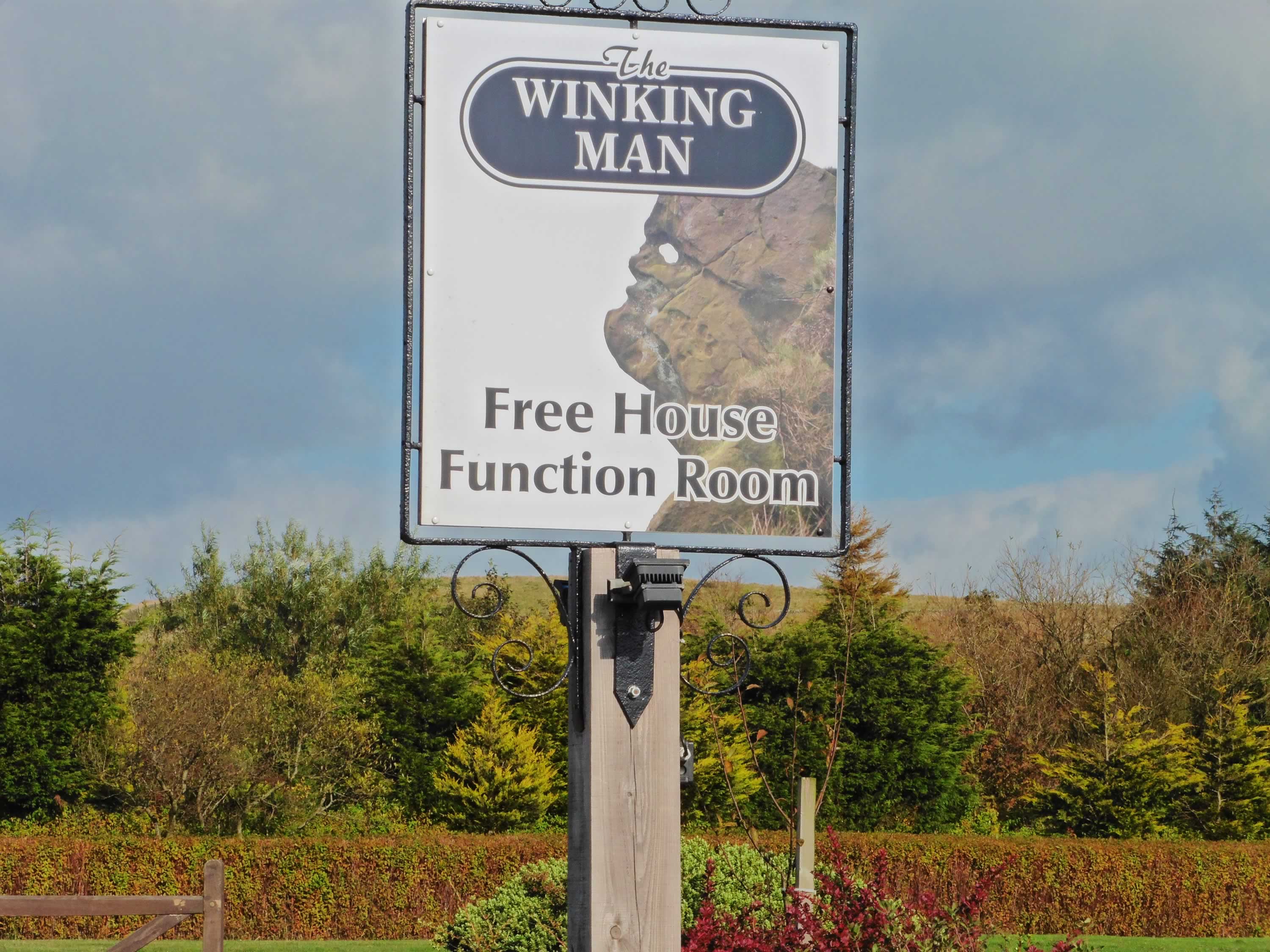 The Winking Man | P1000345