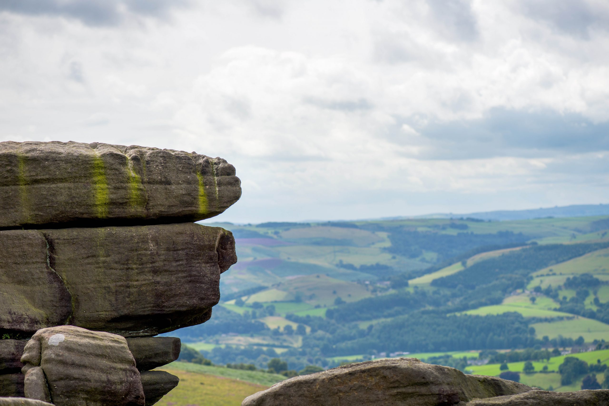 The Winking Man | Webcam
